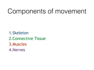 4 components of movement (anatomy) | PDF