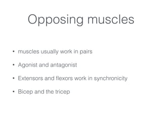 4 components of movement (anatomy) | PDF