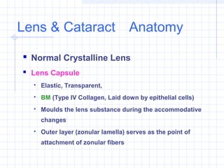Anatomy of EYE | PPT