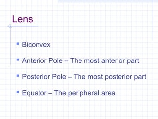 Anatomy of EYE | PPT