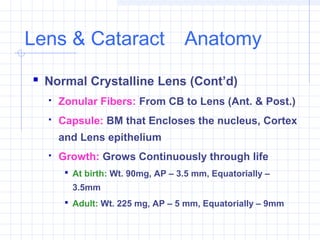 Anatomy of EYE | PPT