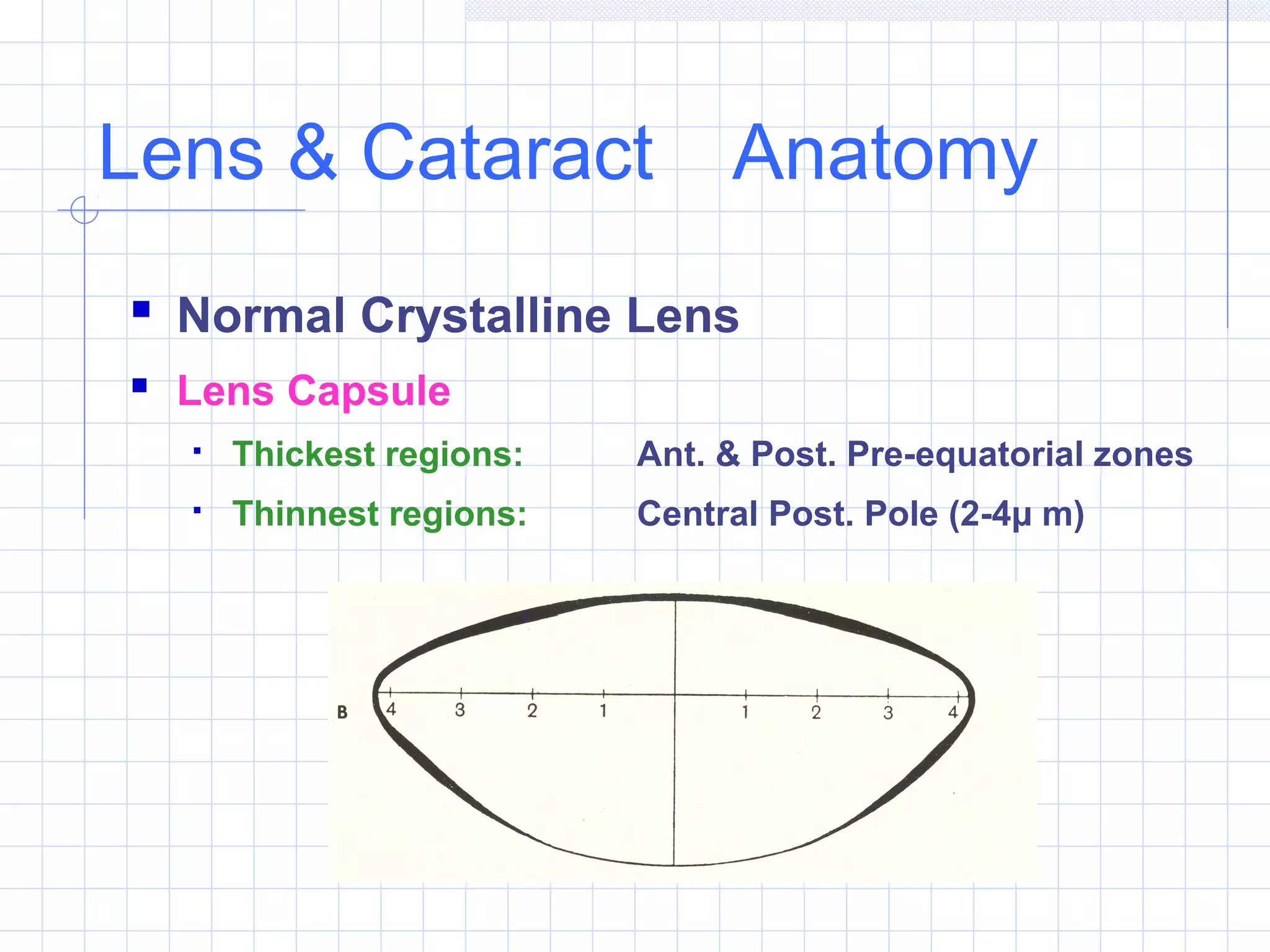 Anatomy of Lens : Ophthalmology | PPT