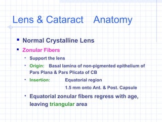 Anatomy of Lens : Ophthalmology | PPT