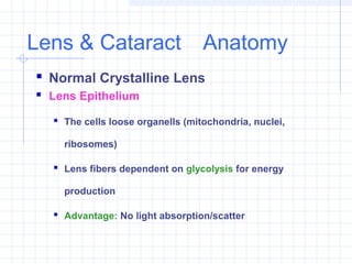 Anatomy of Lens : Ophthalmology | PPT