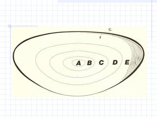 Anatomy of Lens : Ophthalmology | PPT