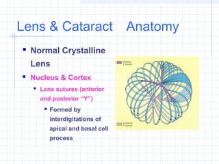 Anatomy of Lens : Ophthalmology | PPT