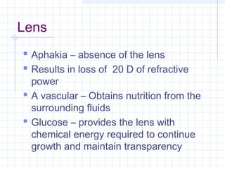 Anatomy of Lens : Ophthalmology | PPT