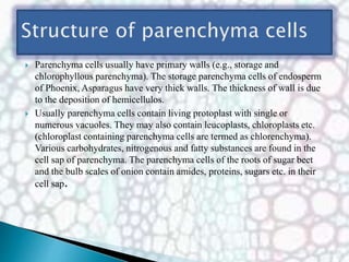 Anatomy | PPTX | Geology | Science