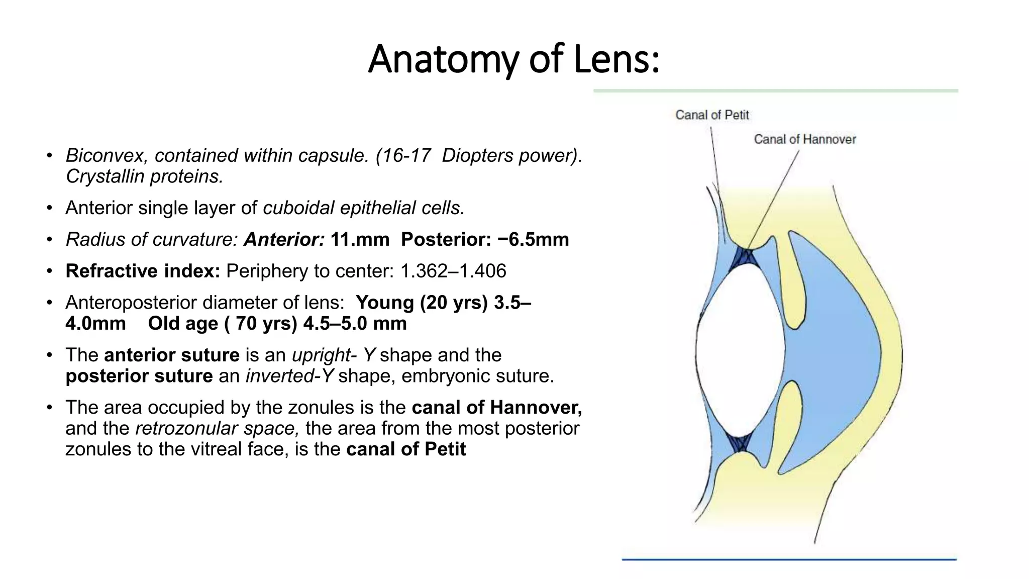 Ocular Anatomy: Introduction | PPTX