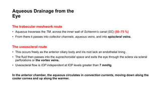 Ocular Anatomy: Introduction | PPTX