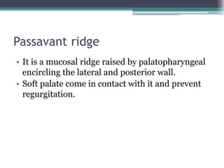 Anatomy of pharynx common symptoms and examination | PPTX