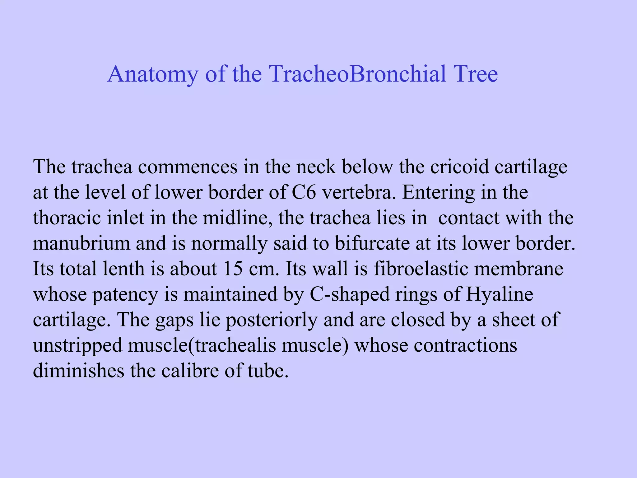 Anatomy of the tracheo broncheal tree | PPT