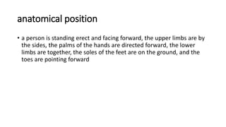 anatomy.pptx | Foot Health | Diseases and Conditions