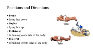 anatomy.pptx | Foot Health | Diseases and Conditions