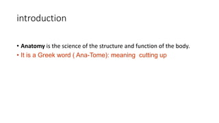 anatomy.pptx