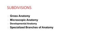 anatomy.pptx | Foot Health | Diseases and Conditions