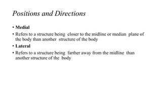 anatomy.pptx
