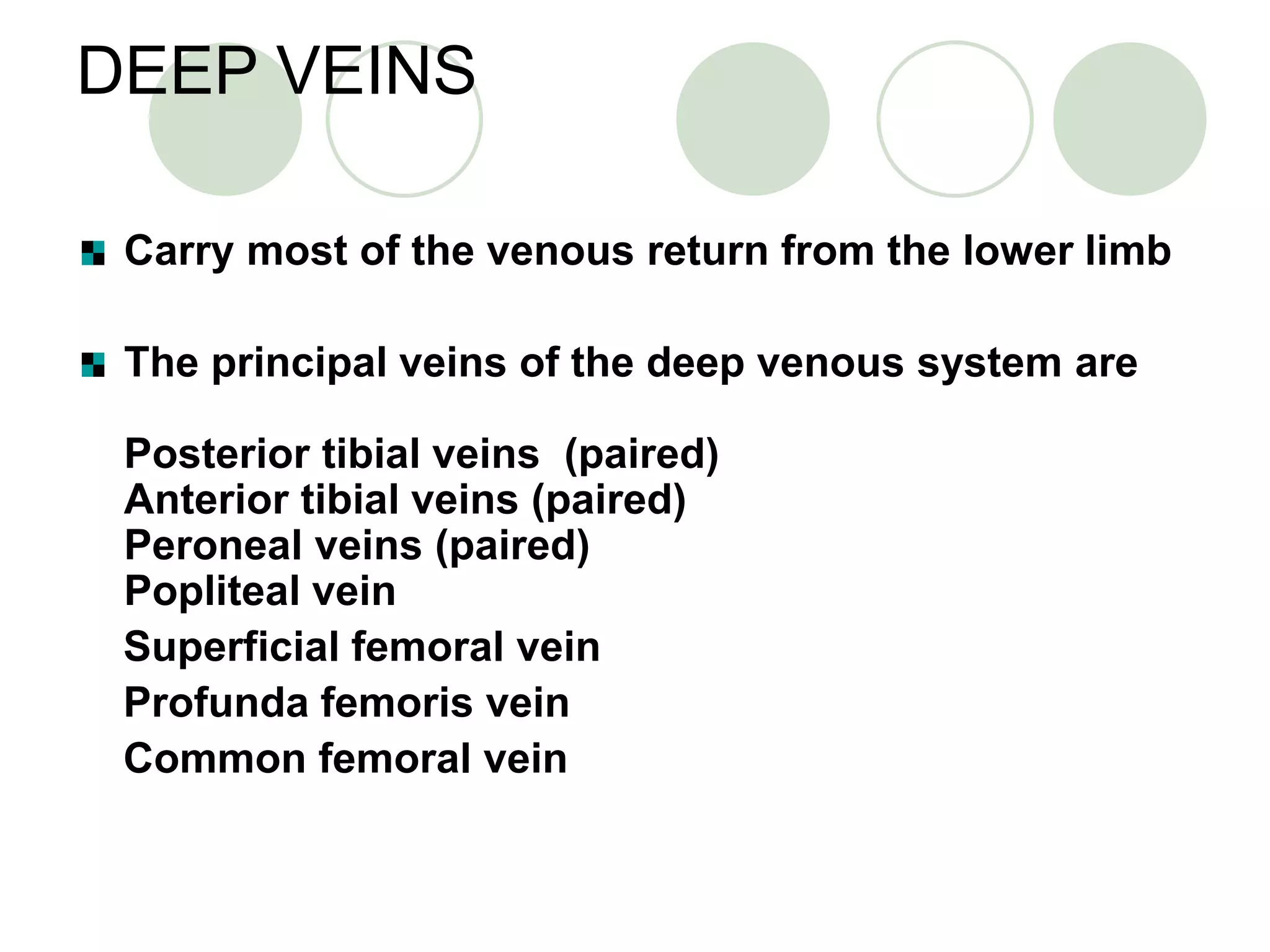 Anatomy of lower limb veins | PPT