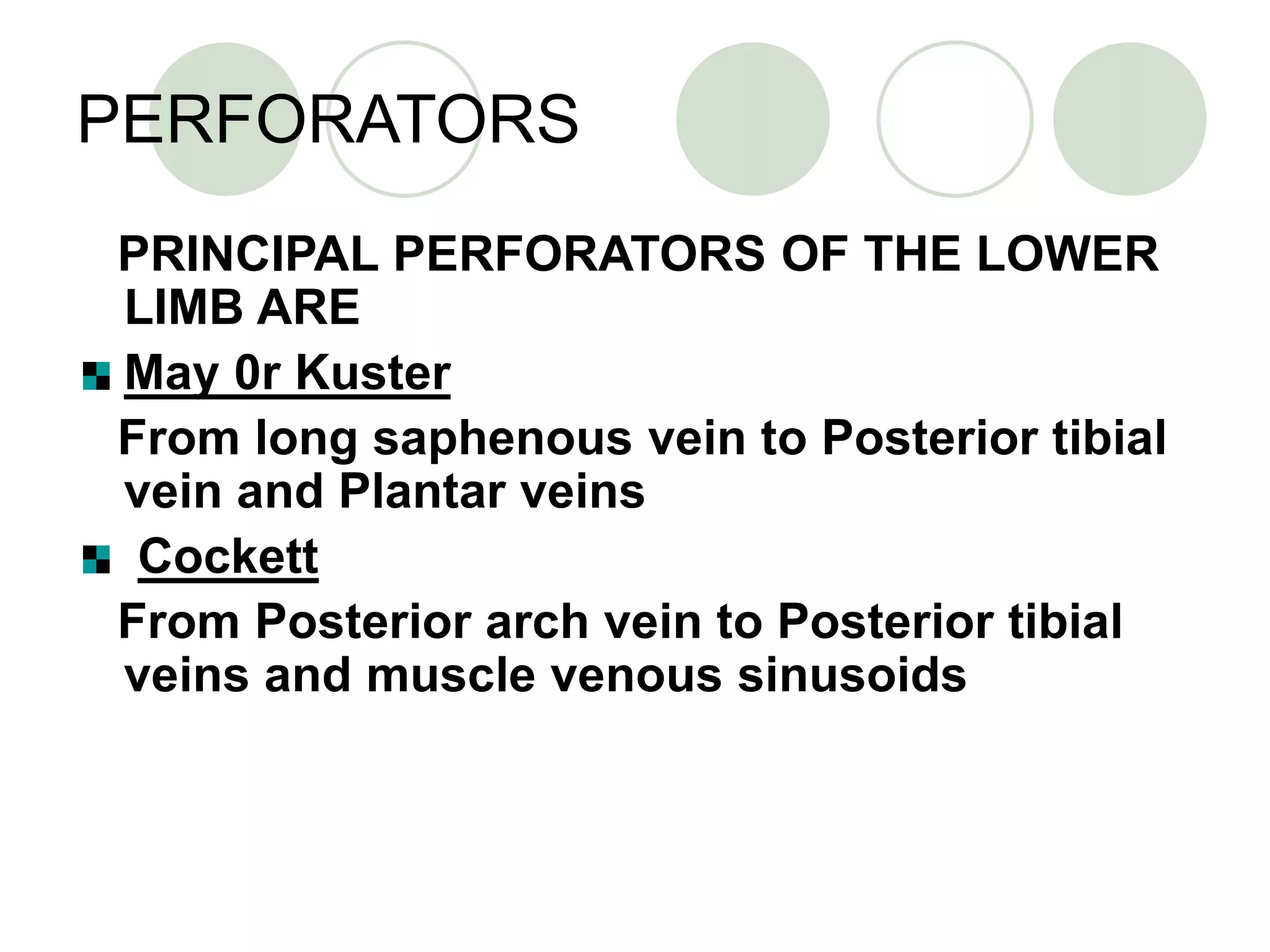 Anatomy of lower limb veins | PPT