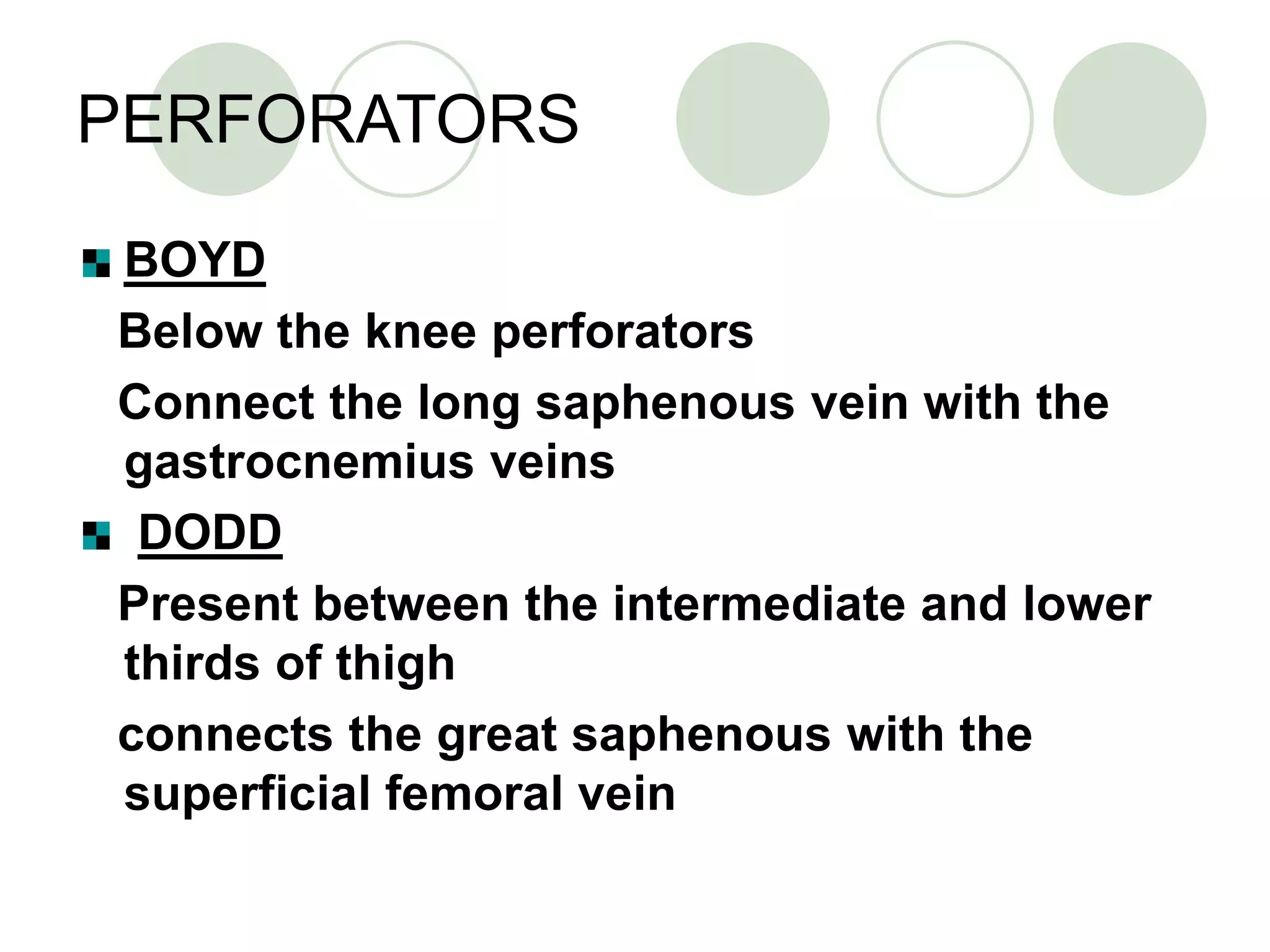 Anatomy of lower limb veins | PPT