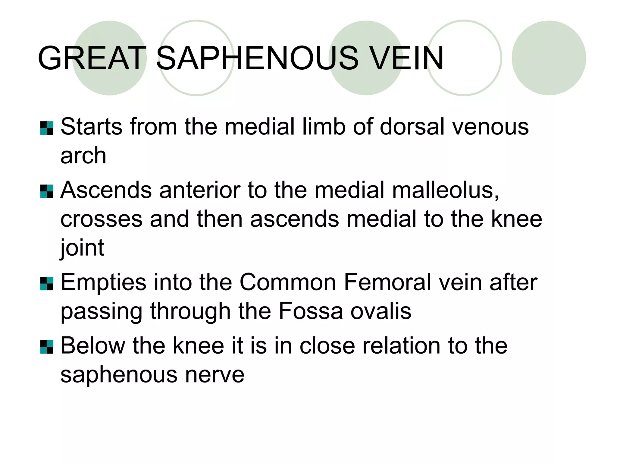 Anatomy of lower limb veins | PPT