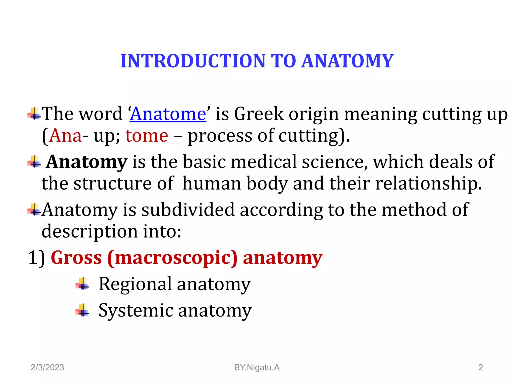 Introduction to human anatomy | PPTX