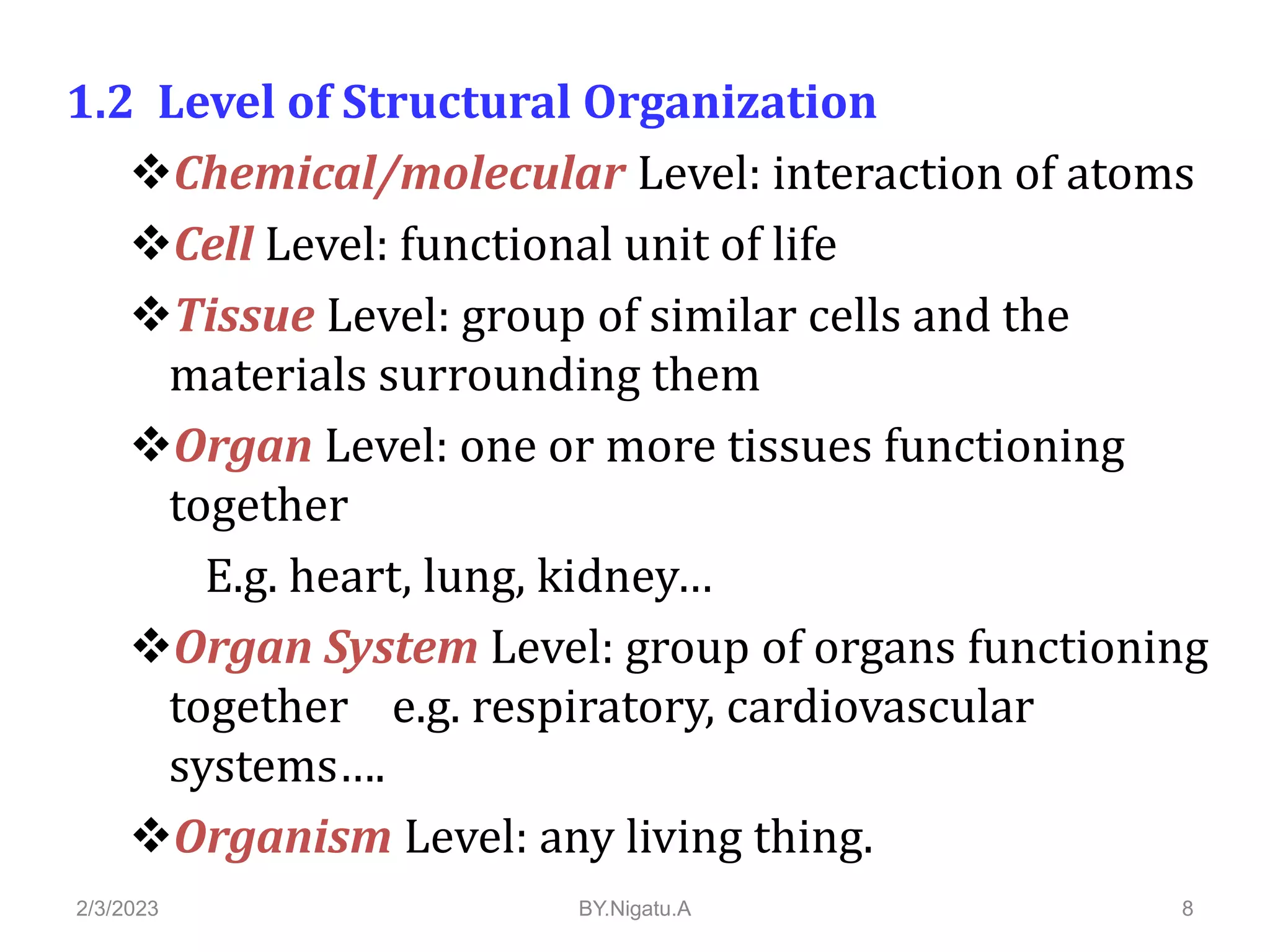Introduction to human anatomy | PPTX
