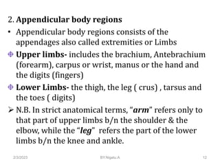 Introduction to human anatomy | PPTX