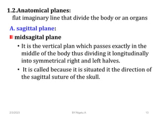 Introduction to human anatomy | PPTX