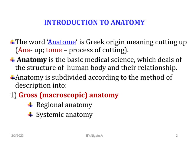 Introduction to human anatomy | PPT