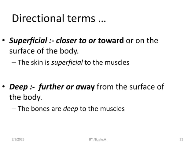 Introduction to human anatomy | PPT