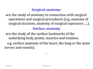 Introduction to human anatomy | PPTX