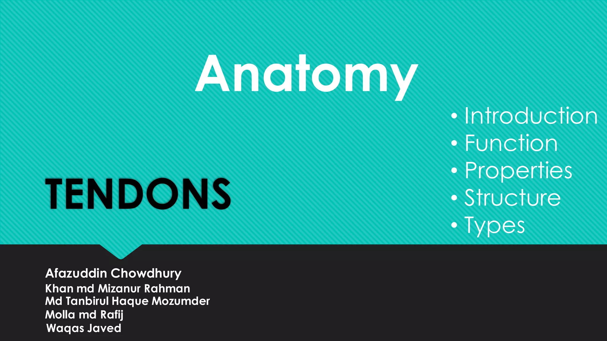 Anatomy Tendons .pdf