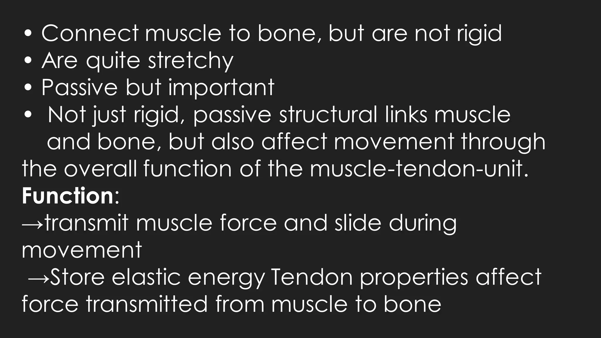 Anatomy Tendons .pdf