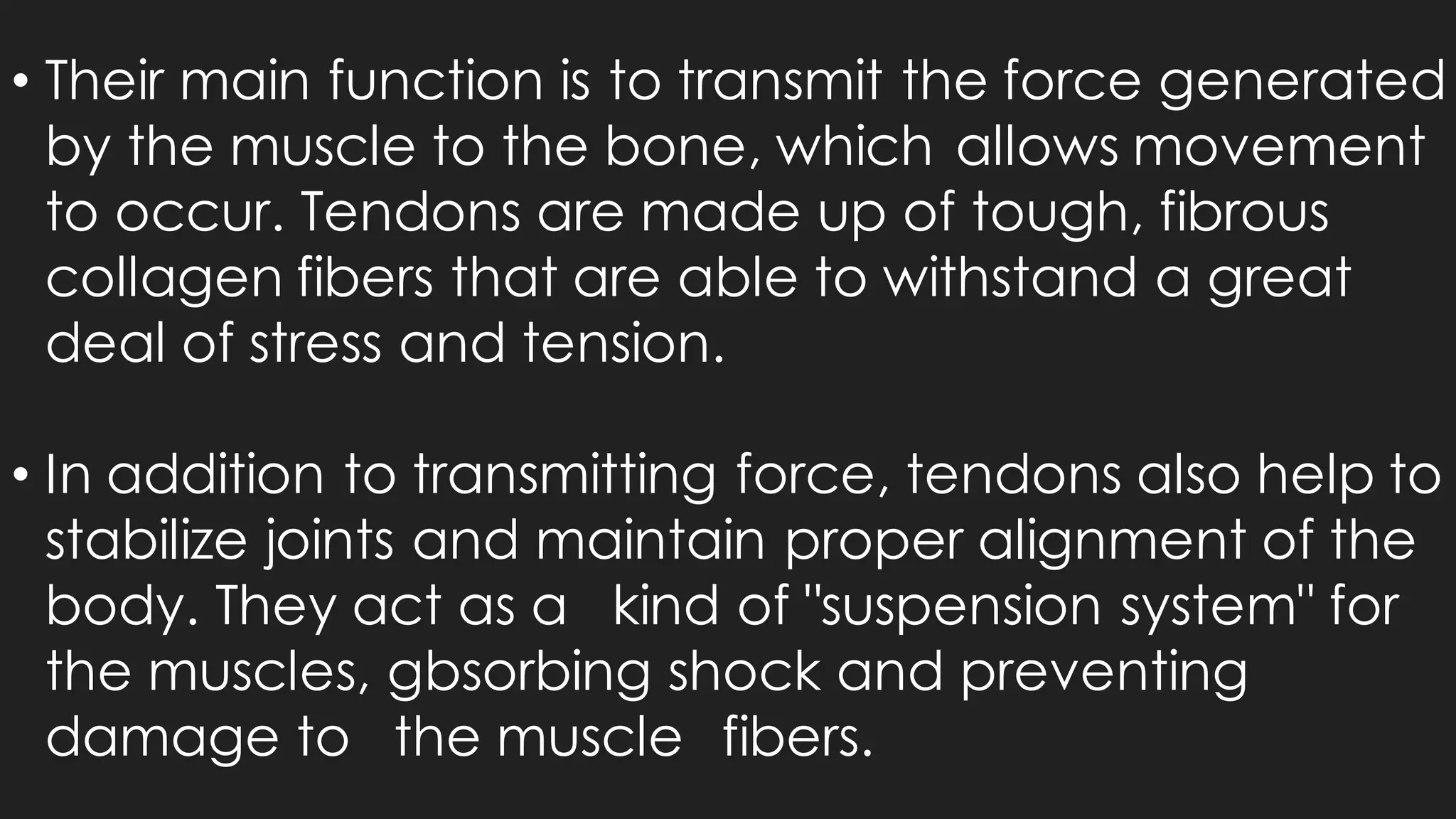 Anatomy Tendons .pdf