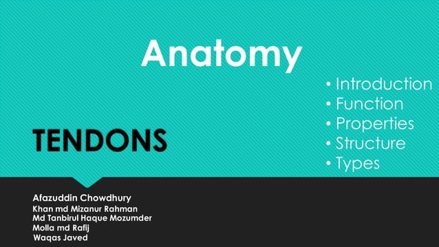 Anatomy Tendons .pdf | Brain and Nervous System Disorders | Diseases and Conditions