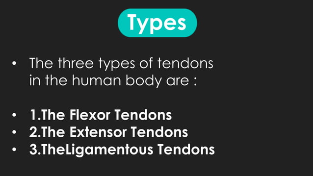 Anatomy Tendons .pdf | Brain and Nervous System Disorders | Diseases and Conditions