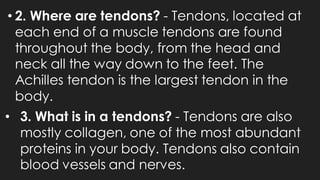 Anatomy Tendons .pdf