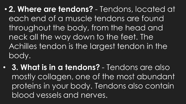 Anatomy Tendons .pdf | Brain and Nervous System Disorders | Diseases and Conditions