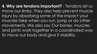 Anatomy Tendons .pdf