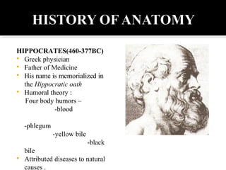 anatomy.pdf sddfigu;oipioo]o[ppp][[p]ppo[ | PDF