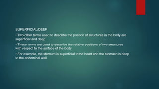INTRODUCTION TO ANATOMY AND PHYSIOLOGY PPT | PPTX