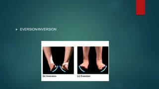 INTRODUCTION TO ANATOMY AND PHYSIOLOGY PPT | PPT