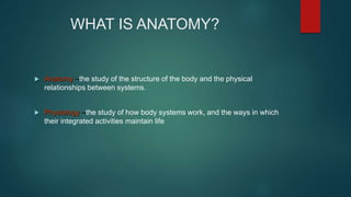 INTRODUCTION TO ANATOMY AND PHYSIOLOGY PPT | PPT