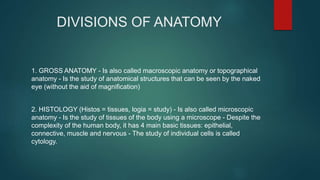 INTRODUCTION TO ANATOMY AND PHYSIOLOGY PPT | PPTX
