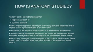 INTRODUCTION TO ANATOMY AND PHYSIOLOGY PPT | PPT