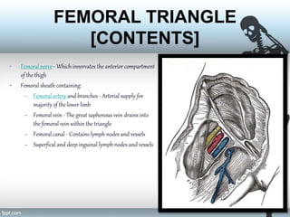 ANATOMY FRONT OF THIGH LOWER LIMB .pptx