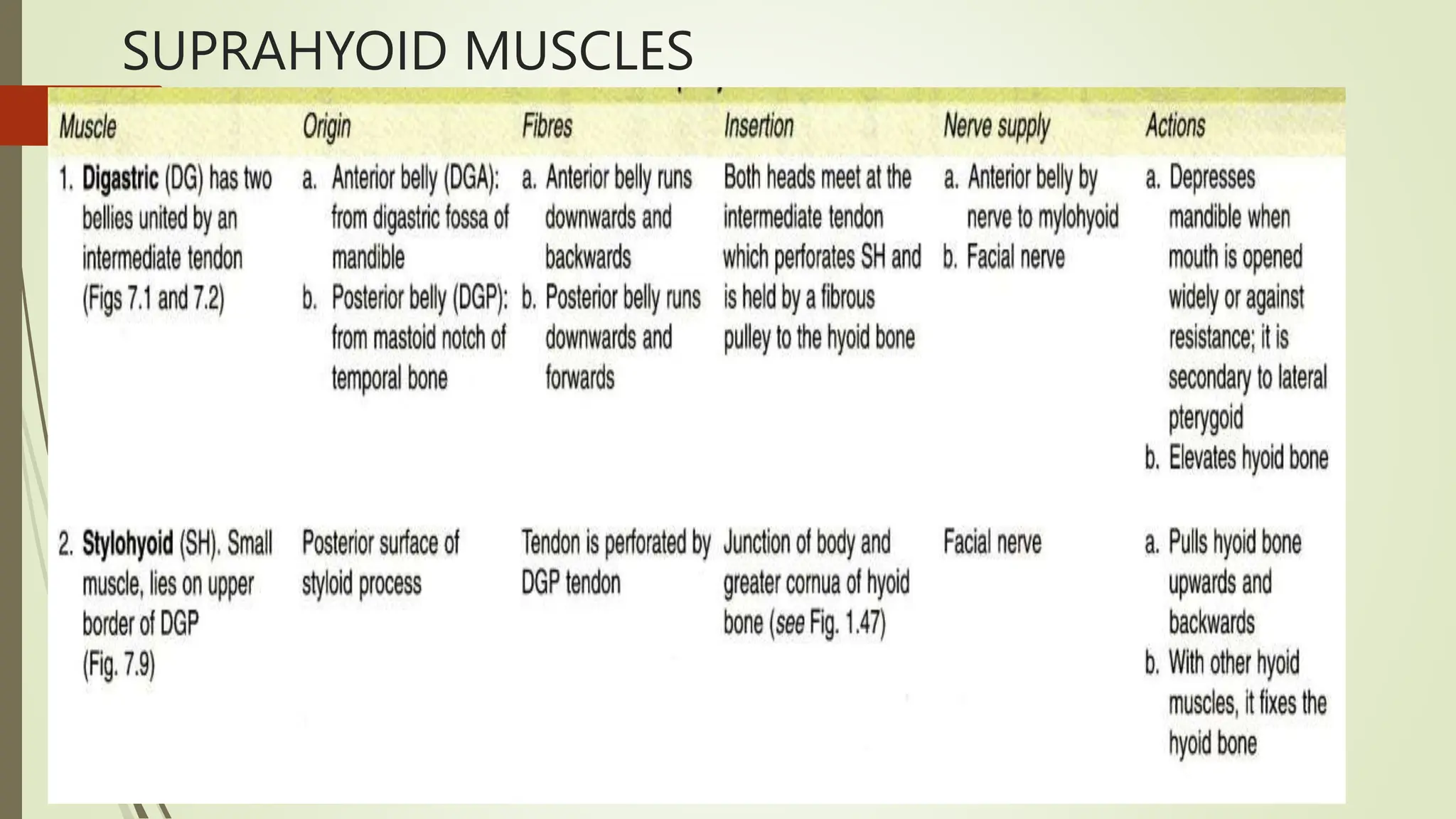 anatomy of submandibular region peresentation | PPTX