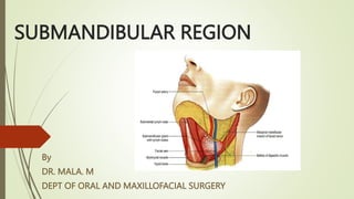 anatomy of submandibular region peresentation | PPTX