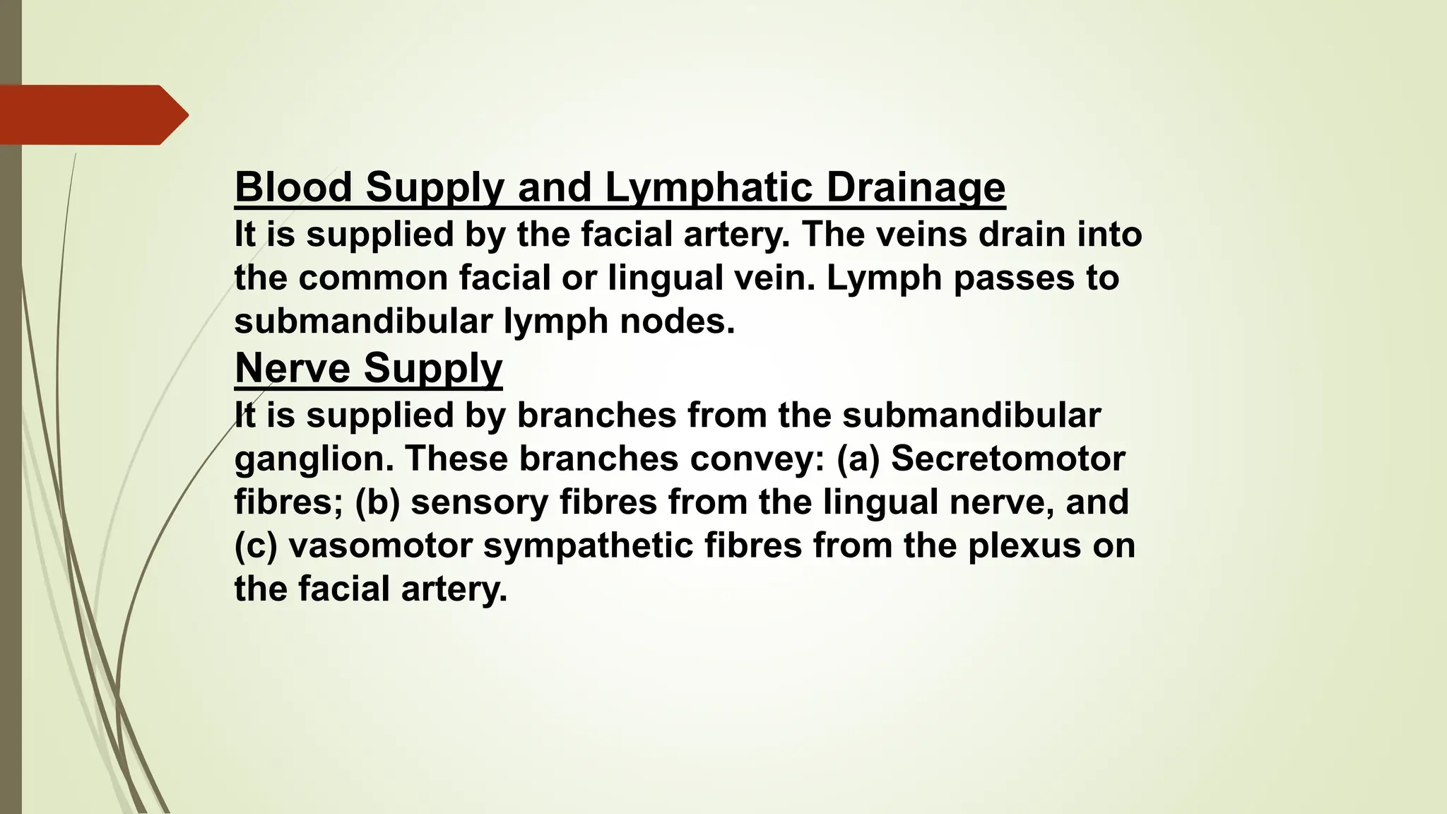anatomy of submandibular region presentation | PPTX